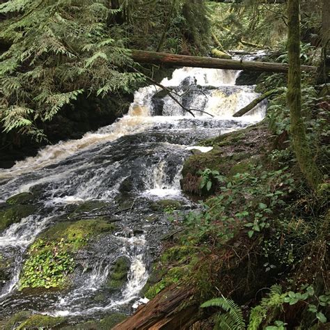 Ludlow Falls Interpretive Trail All You Should Know Before You Go W
