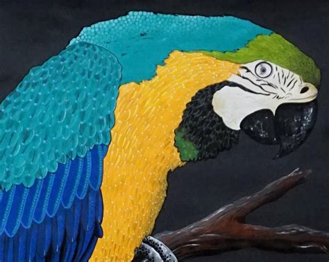 Danielle Mate Sullivan Danielle Mate Sullivan Australian Aboriginal 1978 Macey For