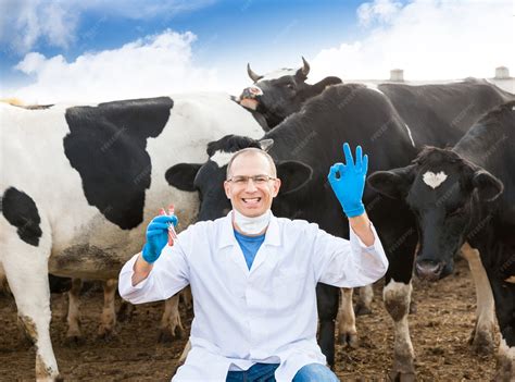 Veterinario Con Pruebas En Tubos Mostrando Bien Gesticulando En Vaca De