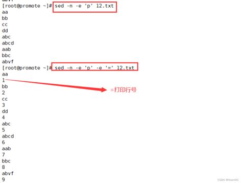 Shell Sed编辑器基本操作规范sed基本原则是基于什么进行操作 Csdn博客 Shell Sed编辑器基本操作规范sed基本原则是基于什么进行操作 Csdn博客