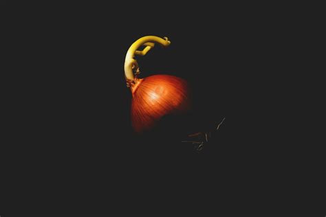 Eponer Eater Pictures Download Free Images On Unsplash