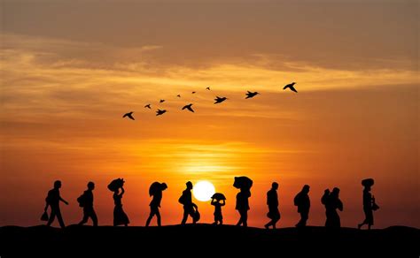 Why We Walk Movement Migration And Meaning