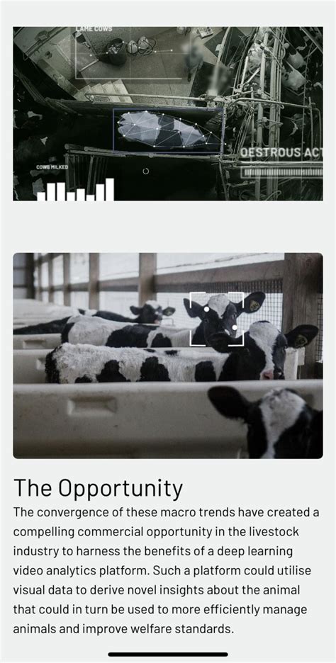 Automated Mobility Scoring The Farming Forum