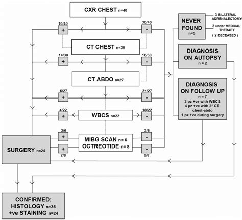 Localization Flow Chart Of All Patients With Eas Download Scientific Diagram