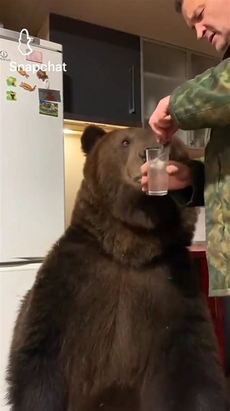 My Idiot Apprentice Turned Me Into A Bear Jokes On Him Im Making Him Maintain My Hygiene While