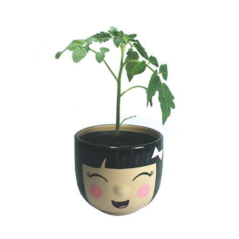 Limited Edition Femi Mimi Grow Kit Mnlgrowkits