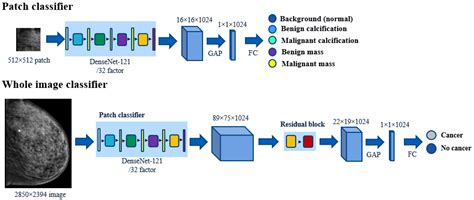Exploiting Patch Sizes And Resolutions For Multi Scale Deep Learning In