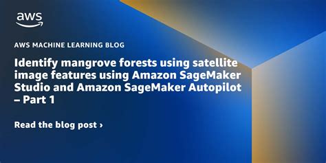 Identify Mangrove Forests Using Satellite Image Features Using Amazon SageMaker Studio And