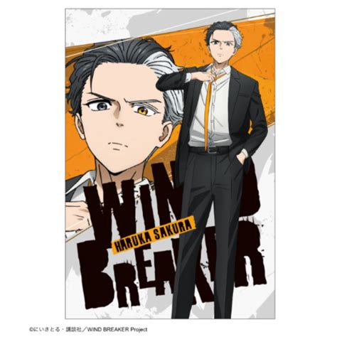 윈브레 윈드 브레이커 굿즈 Abematv 엽서 수트 Ver 사쿠라 하루카 도키도키굿즈