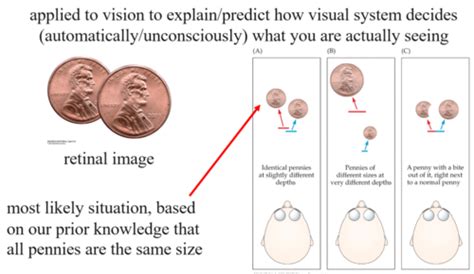 Ubc Psyc368 Quiz 2 Flashcards Quizlet