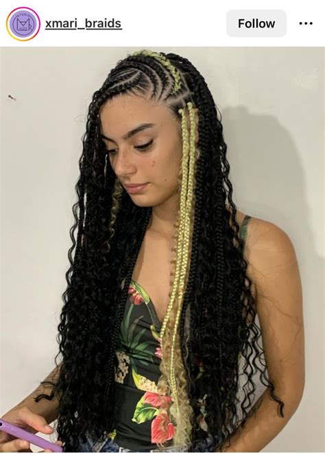 20 Best Lemonade Fulani Braids Hairstyle Ideas Curly Girl Swag