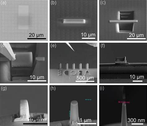 2 Sample Preparation In An Fib For Electron Tomography A Roi Before