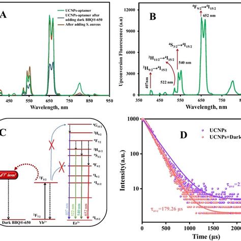 A Upconversion Fluorescence Response Recorded By The Proposed