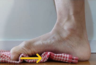 Exercises To Fix Flexor Hallucis Longus Tendonitis Posture Direct