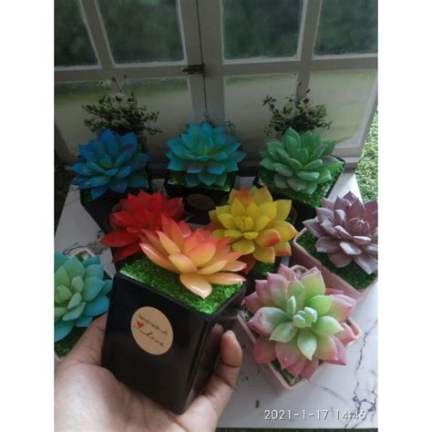 Harga Skulen Palsu Terbaru Jan 2025 Biggo Indonesia