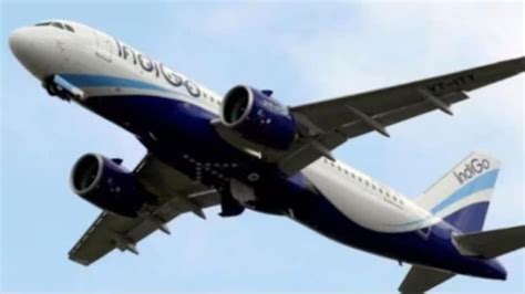 Indigo Passenger Attempts To Open Emergency Exit Mid Air Gets Arrested