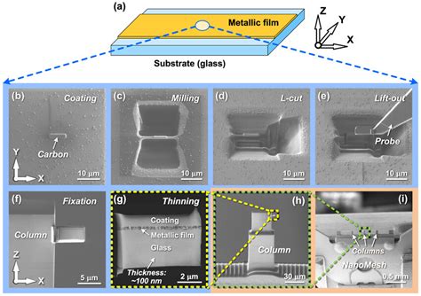 Tem Sample Preparation Via Fib Method A Schematic Illustration Of Download Scientific