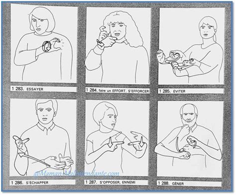 Lsf Les Verbes Divers 3ème Partie Pdf Ma Vie Entre Deux Mondes