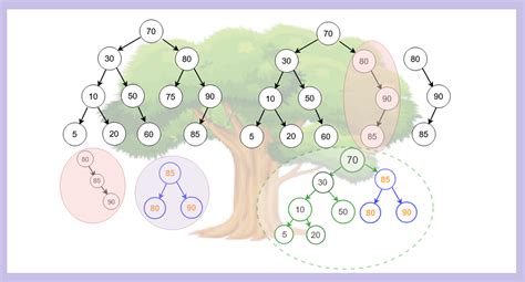 Binary Search Trees Insertion And Deletion By Abdul Mateen Apr