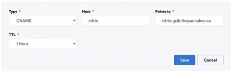 Howto Configure Godaddy Dns For Gslb On Citrix Adc Netscaler
