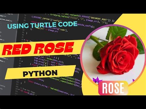 How To Draw A Rose In Python