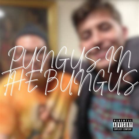 Yung Garfield Pungus In The Bungus Single Reviews Album Of The Year