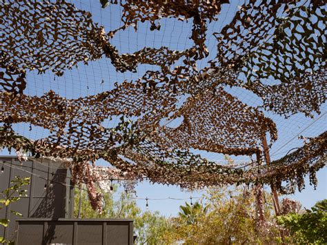 Community Is A Verb With Prophet Walker Assemblageworld Views