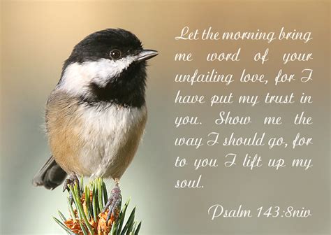 Psalm 143 8 Niv Janine Russell Flickr