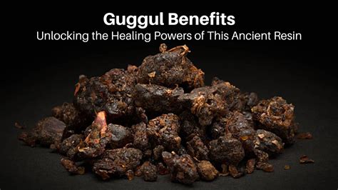 Guggul Benefits: Unleashing the Healing Potential of This Ancient Resin ...