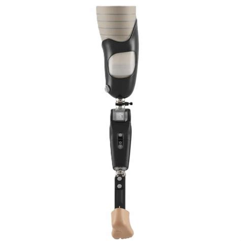 Leg Long Stump Above Knee Prosthesis At ₹ 25000 In Mumbai Id
