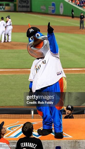 Billy The Marlin Team Mascot Photos And Premium High Res Pictures Getty Images