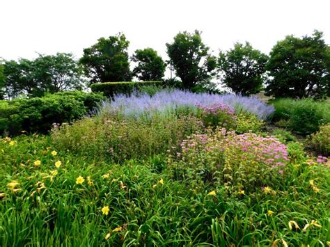 The Garden Markell Smith Gallery Photography Landscapes And Nature Gardens Garden Paths