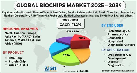 Global Biochips Market Industry Type Size Share Trends And