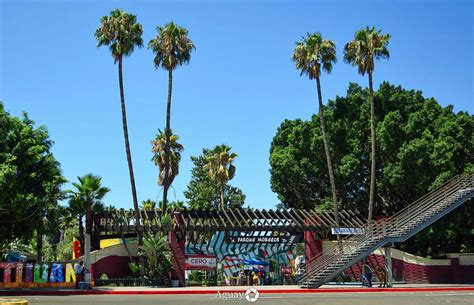 10 Lugares Icónicos De Tijuana Que Solíamos Frecuentar En Los Años 2000