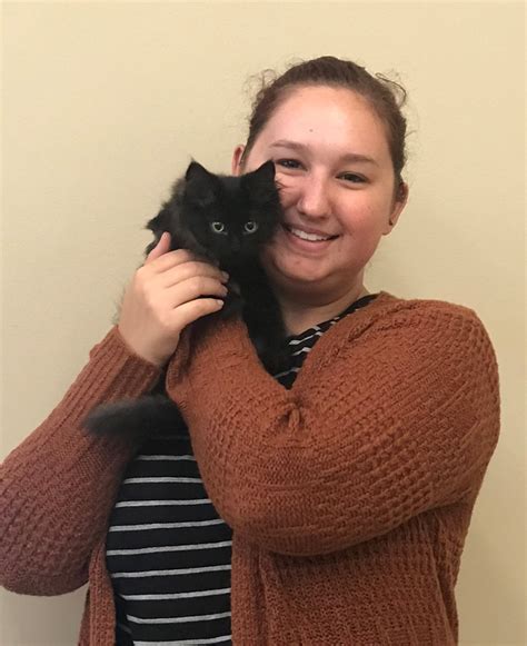 Frank Found His Purr Fect Paws And Claws Rescue And Resort