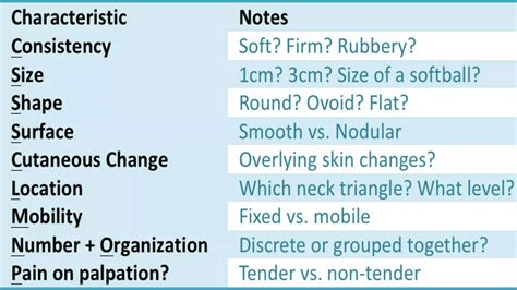 Lymph Nodes Examination Pptx