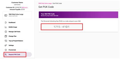 Find Your Puk Code 10mates