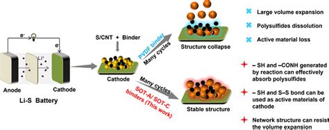 Design And Synthesis Of Multi‐functional Polymeric Binders For High‐performance Lithium‐sulfur