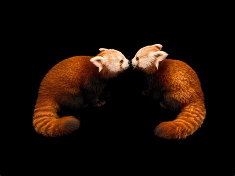 Kent County Commissioner Stan Ponstein