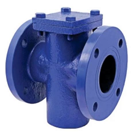 Brass Dirt Box Strainer Capacity 250 Lph At Rs 4000 In Kolkata Id