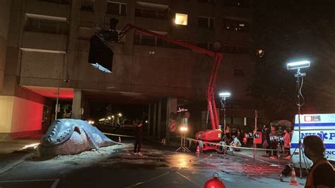 Arri On Linkedin Arri Arrilighting Gaffer Skypanel Softbox