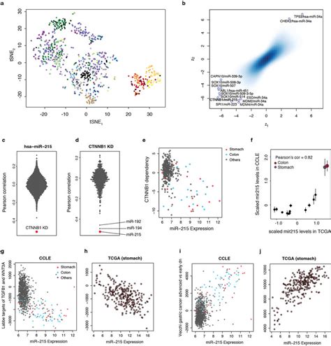 Examples Of Microrna Expression Associated With Gene Dependencies In