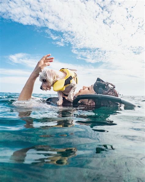 妤妤 🐶浮潛初體驗 小琉球浮潛 小琉球小琉球景點 小琉球旅遊 浮潛浮潛初體驗 小琉球浮潛 海龜 Instagram