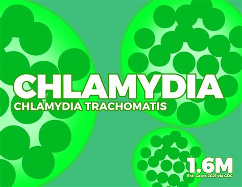 Understanding Chlamydia The Facts Myths And Management The Butters Hygienics Co
