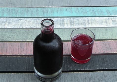 Cassis Sirup Rezept Ichkochech