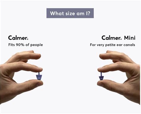 Lorenzo C Na Linkedin Whats The Difference Between Model X And Y Is