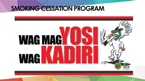 Doh Programspdf Lung And Respiratory Health Diseases And Conditions