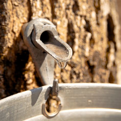 Metal Maple Syrup Spile Ritchie Feed And Seed Inc