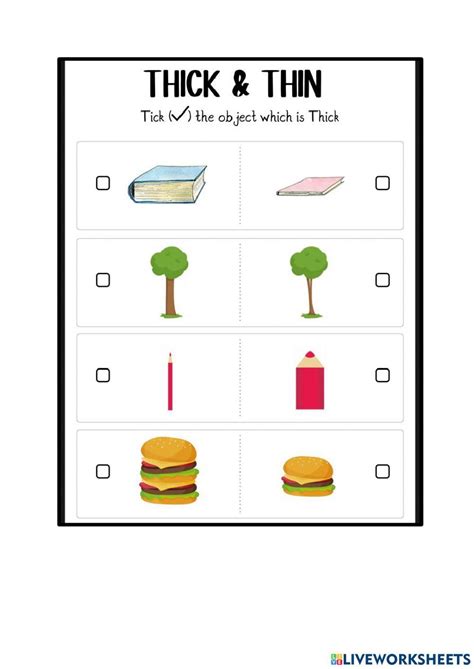 Thick And Thin Free Interactive Worksheets 2259434