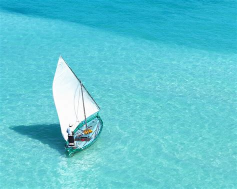 Aerial View Of A Tropical Paradise With License Image 14487830